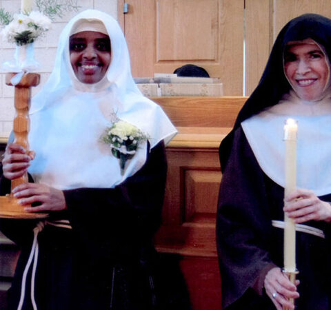 New Plants in the Order of St. Clare | Poor Clare Monastery of the ...